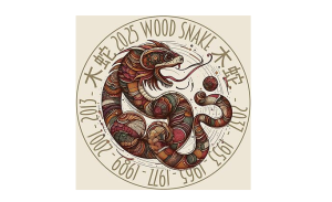 Chinese Year of the Snake 2025: Predictions for Zodiac SignsDeluxe ...