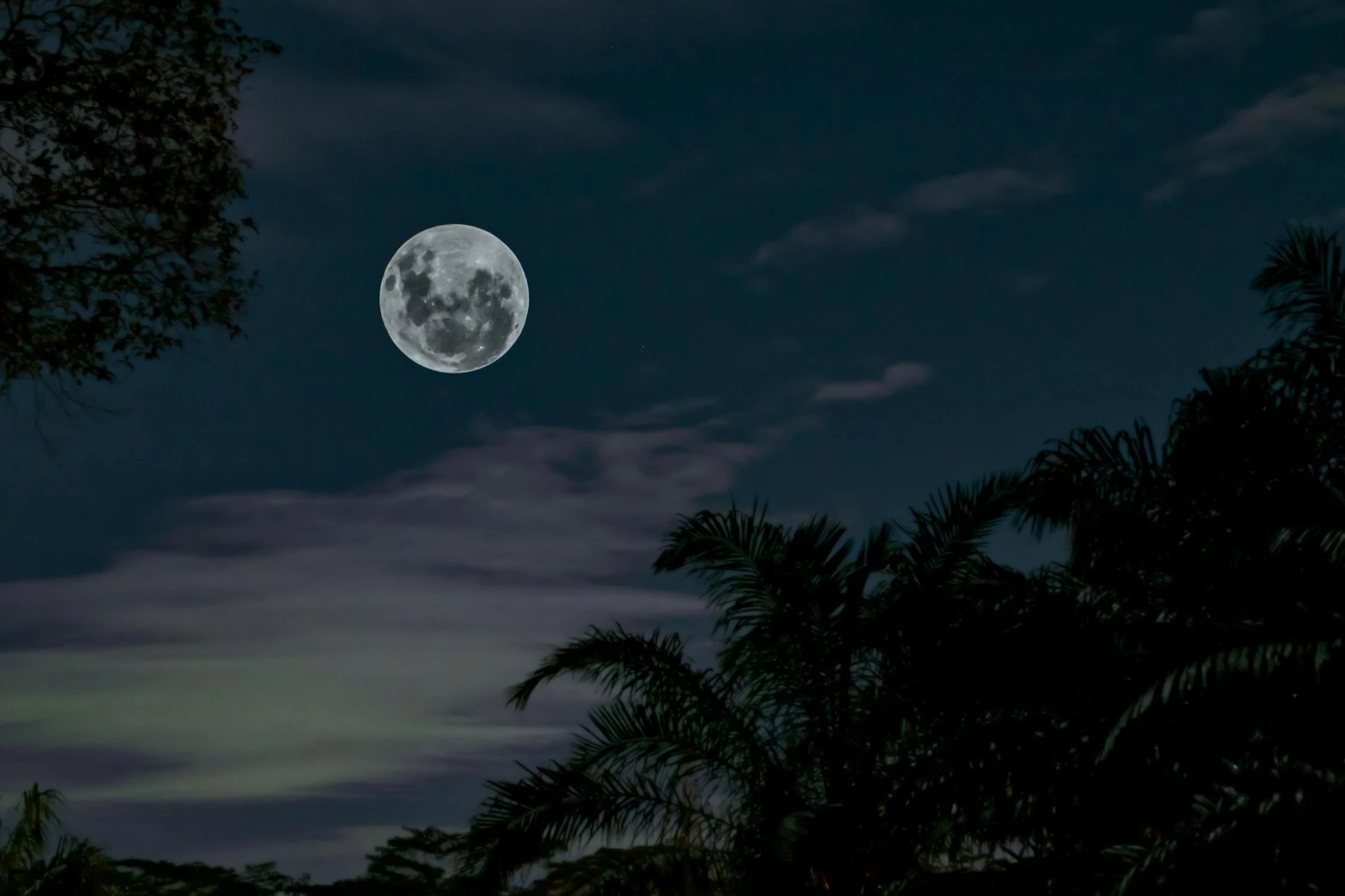 When Is the Next Full Moon in 2025? Full List & GuideDeluxe Astrology